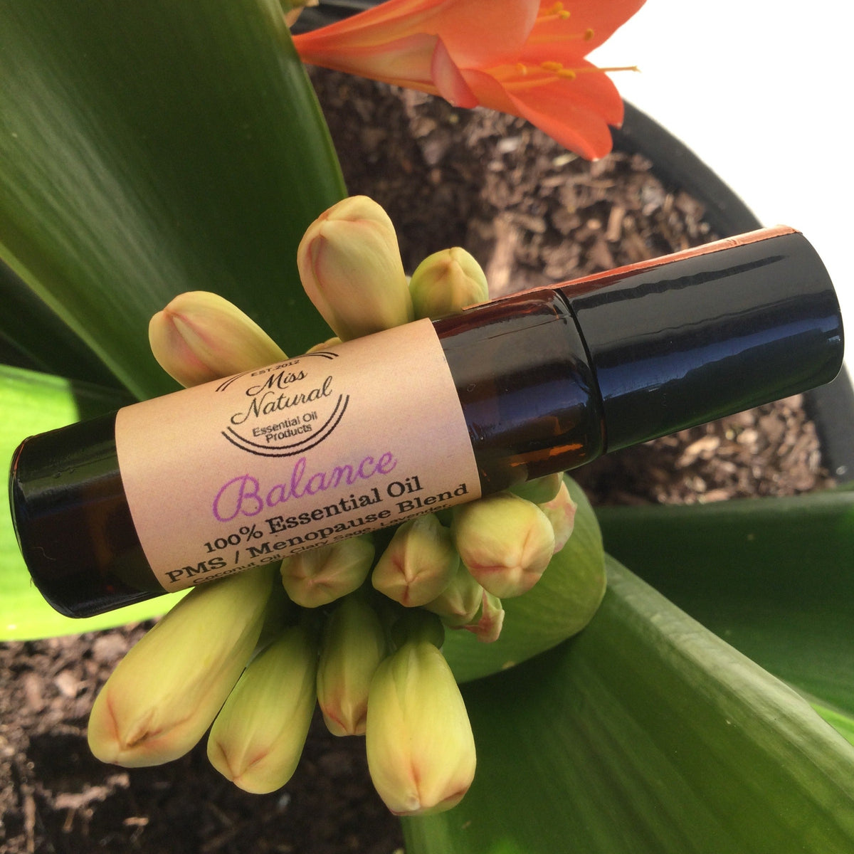 Balance- Perfume Roller 10ml – Miss Natural